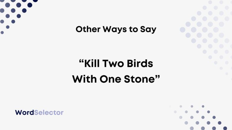 Other Ways to Say “Kill Two Birds With One Stone” - WordSelector