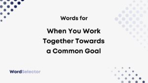 What Is Working Together Towards a Common Goal Called? - WordSelector
